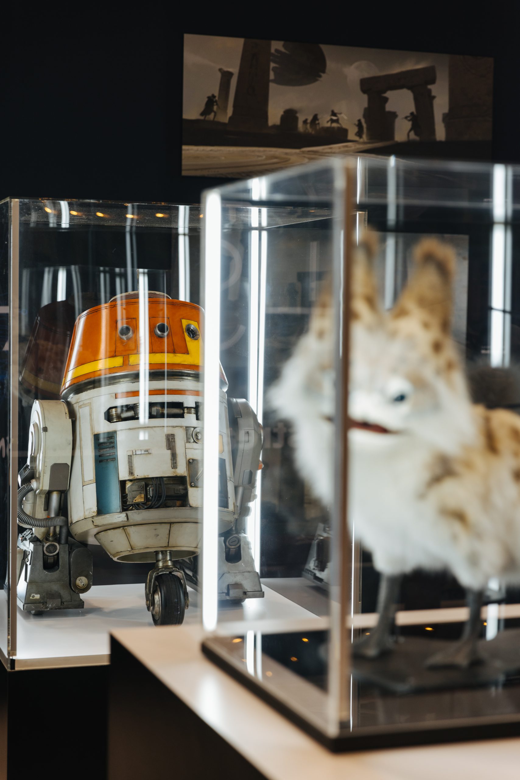 RebelXM – Defy the Expected