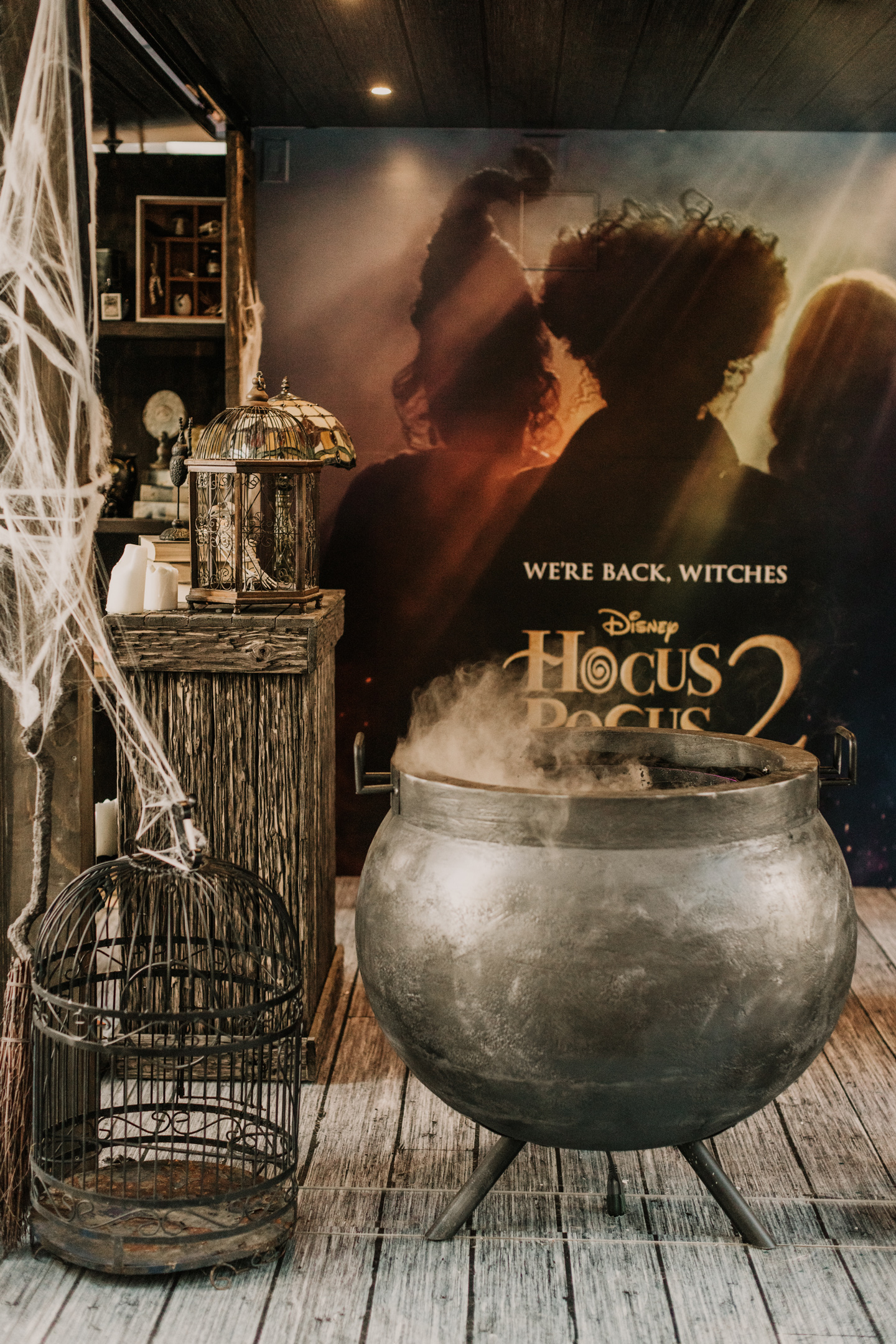 RebelXM – Defy the Expected