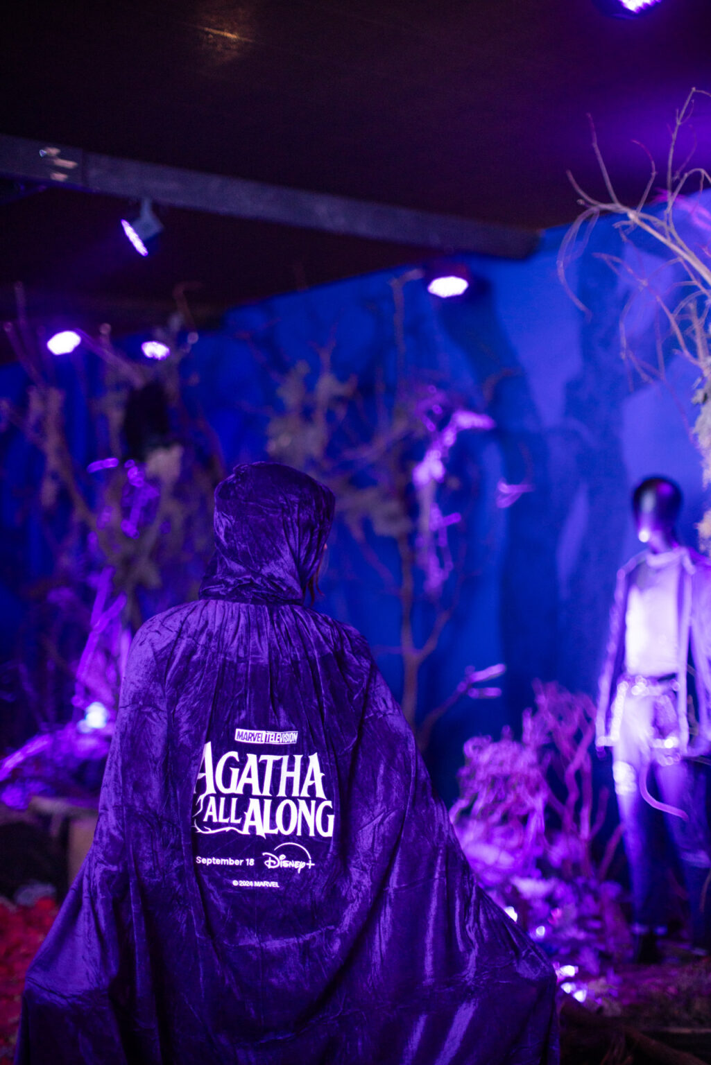 RebelXM – Defy the Expected